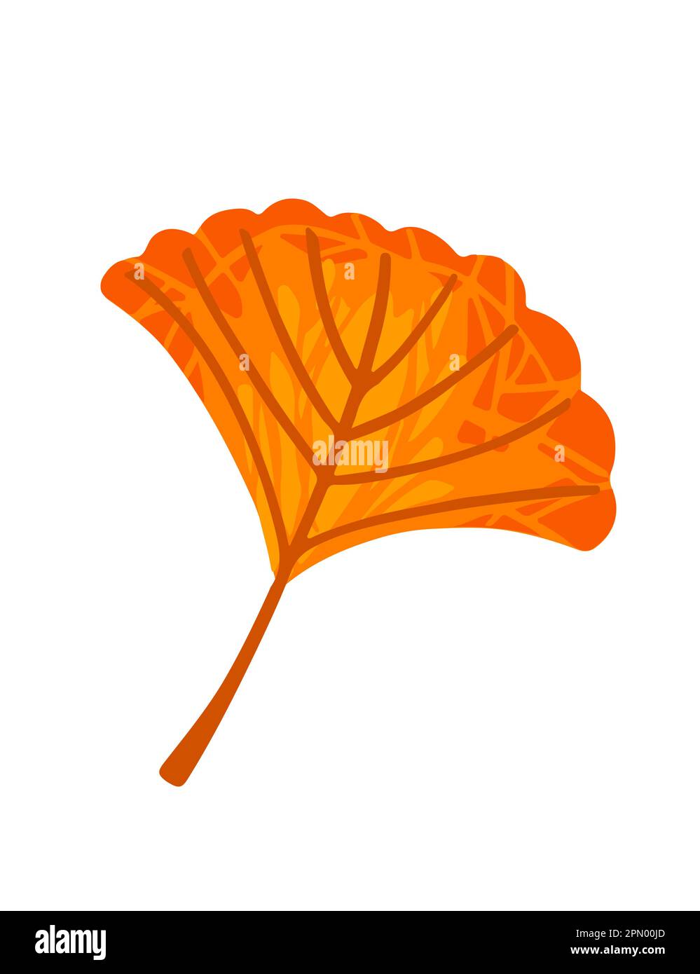 Autumn orange leaf vector illustration isolated on white background ...