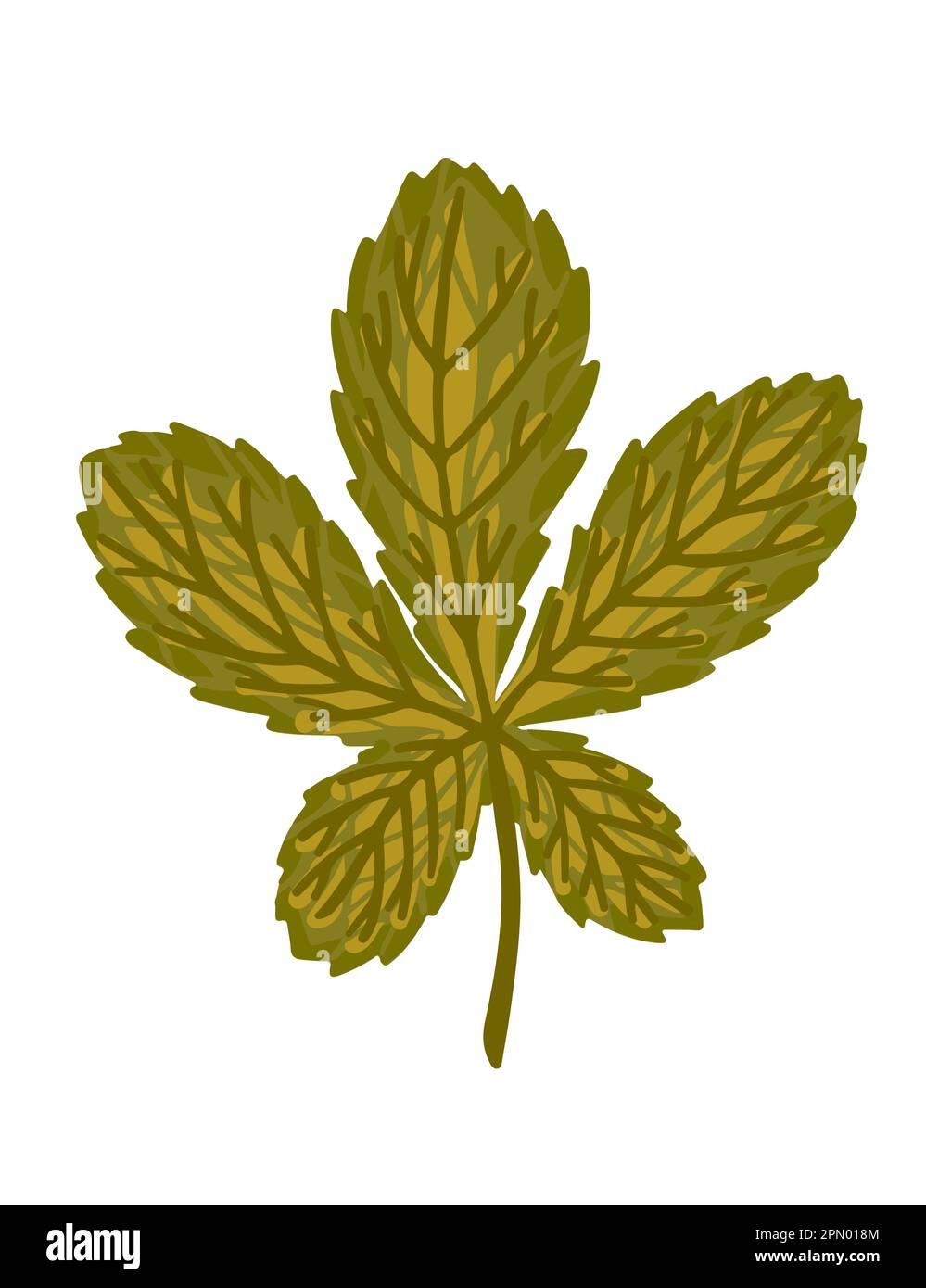 Autumn green leaf vector illustration isolated on white background ...
