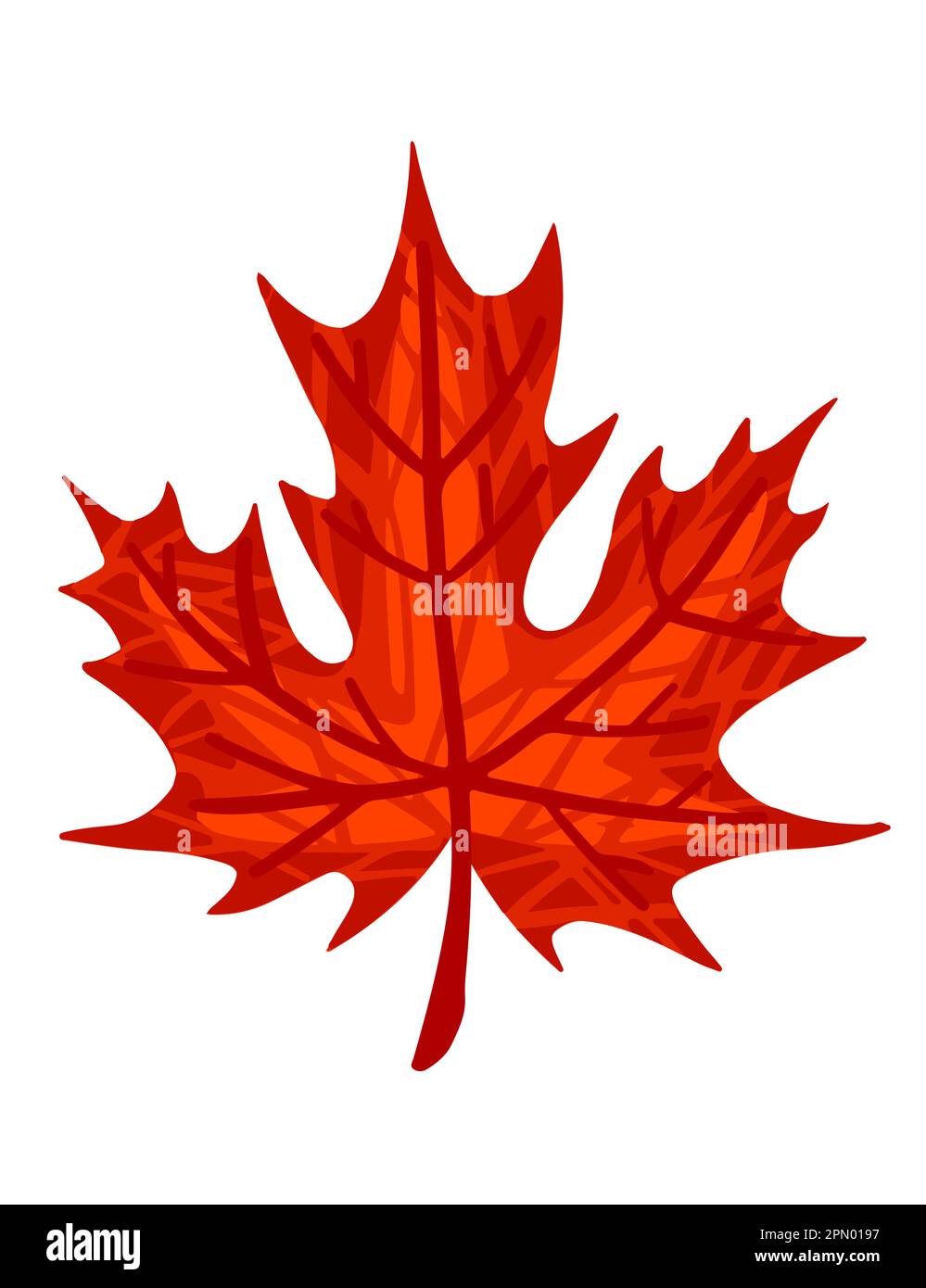 Autumn red leaf vector illustration isolated on white background Stock ...