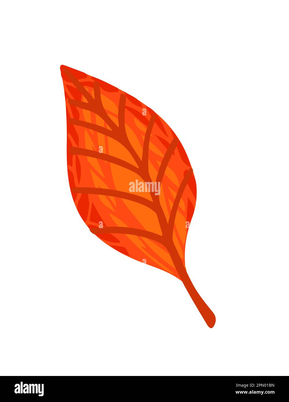 Autumn orange leaf vector illustration isolated on white background ...