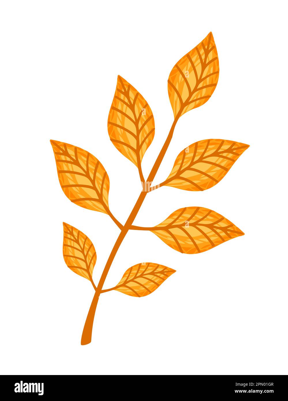 Autumn orange leaf vector illustration isolated on white background ...