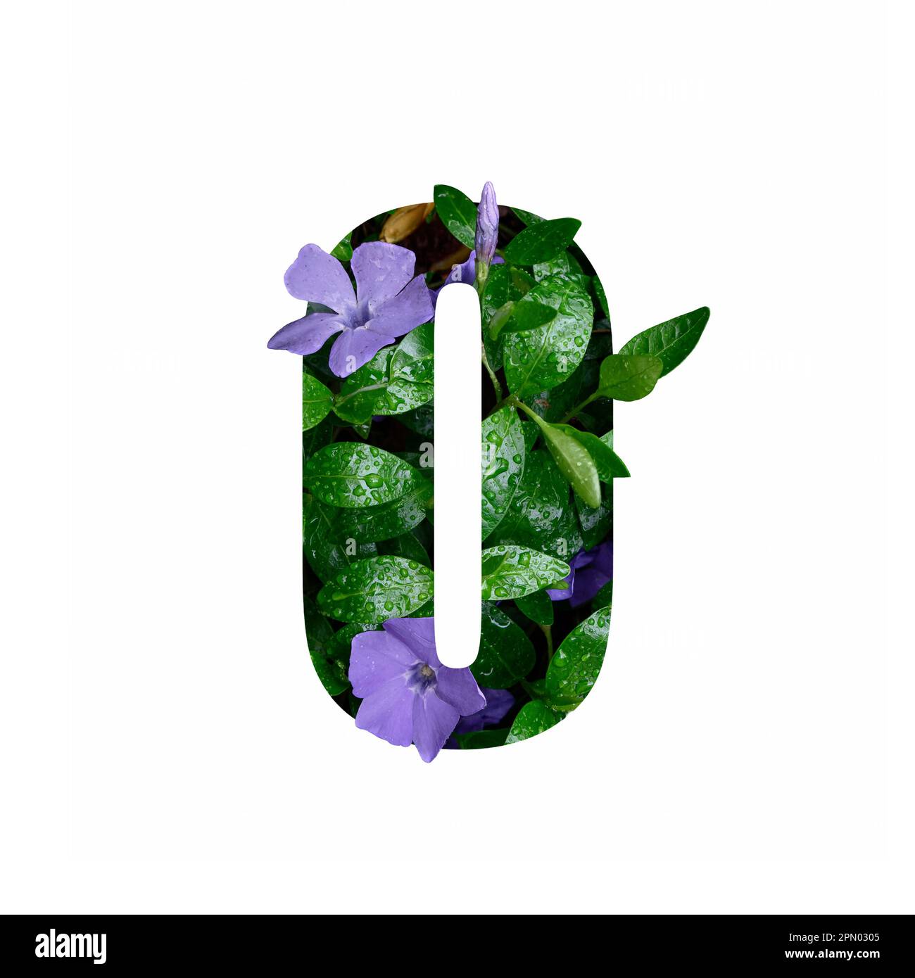 Creative number 0 zero made of fresh flowers with raindrops. Beautiful ...