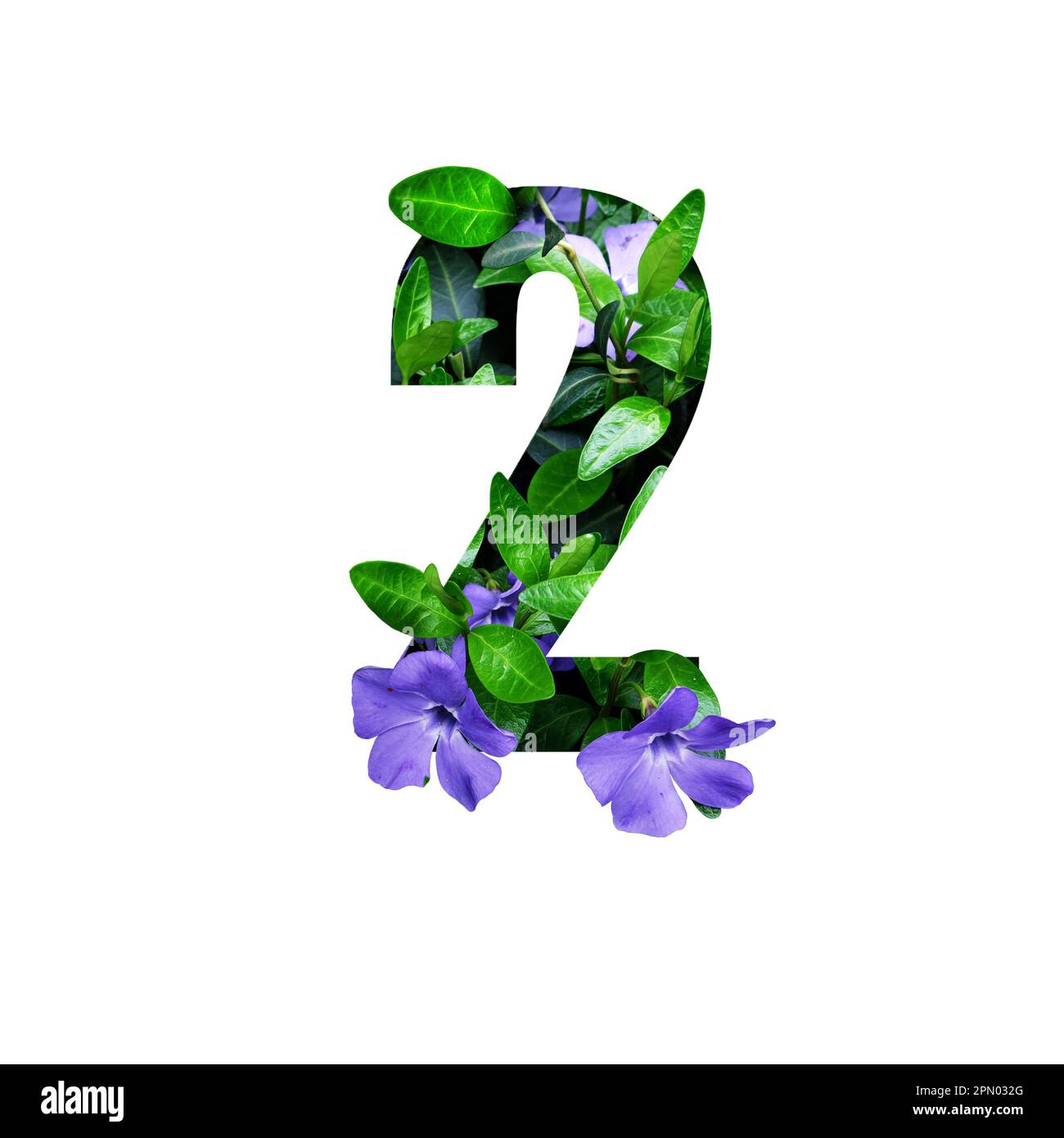 Creative number 2 two made of fresh flowers with raindrops. Beautiful ...