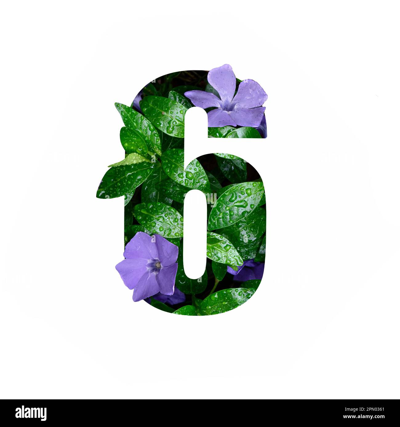 Number design template green font hi-res stock photography and images ...