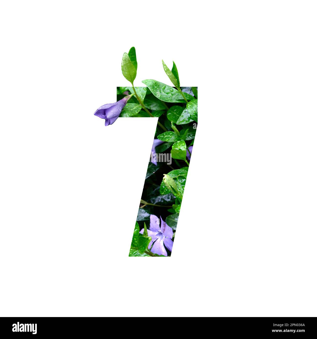 Number 7 Cut Out Stock Images & Pictures - Alamy