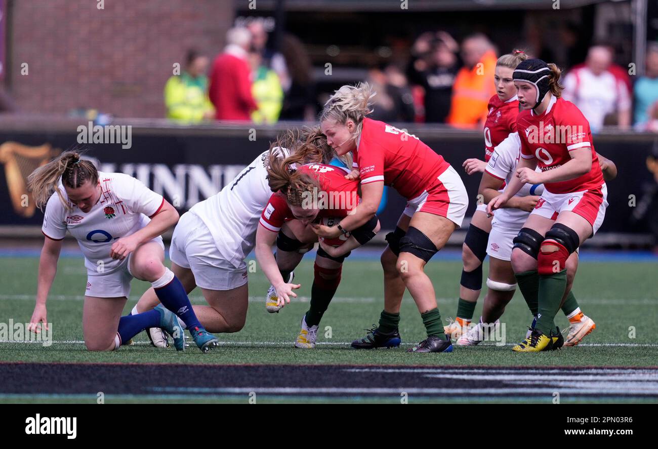 England red roses rugby hi-res stock photography and images - Alamy