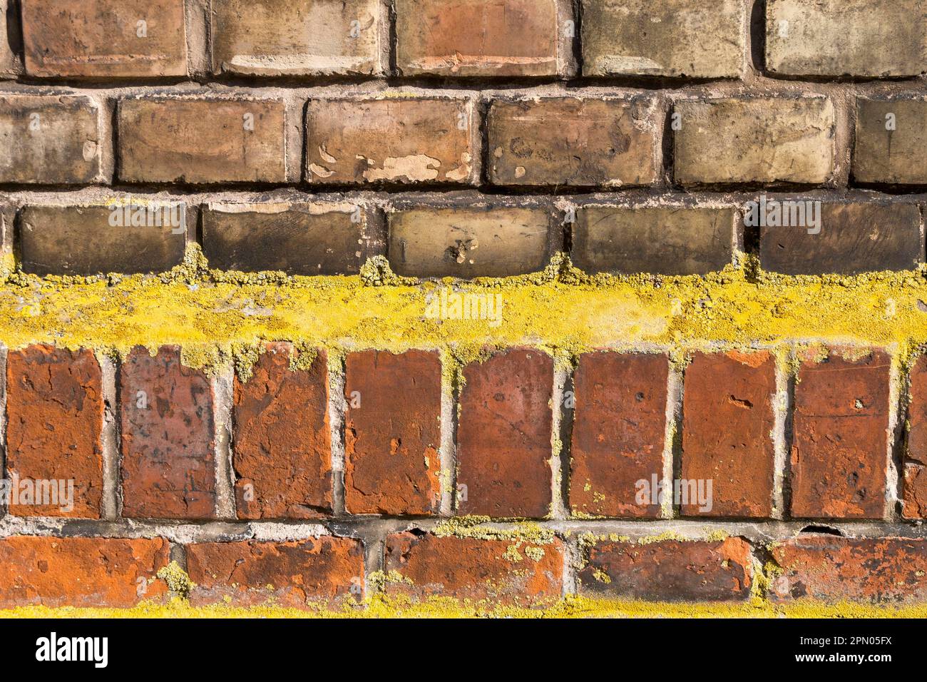 House wall, brick wall, brick wall, overgrown with lichen Stock Photo ...