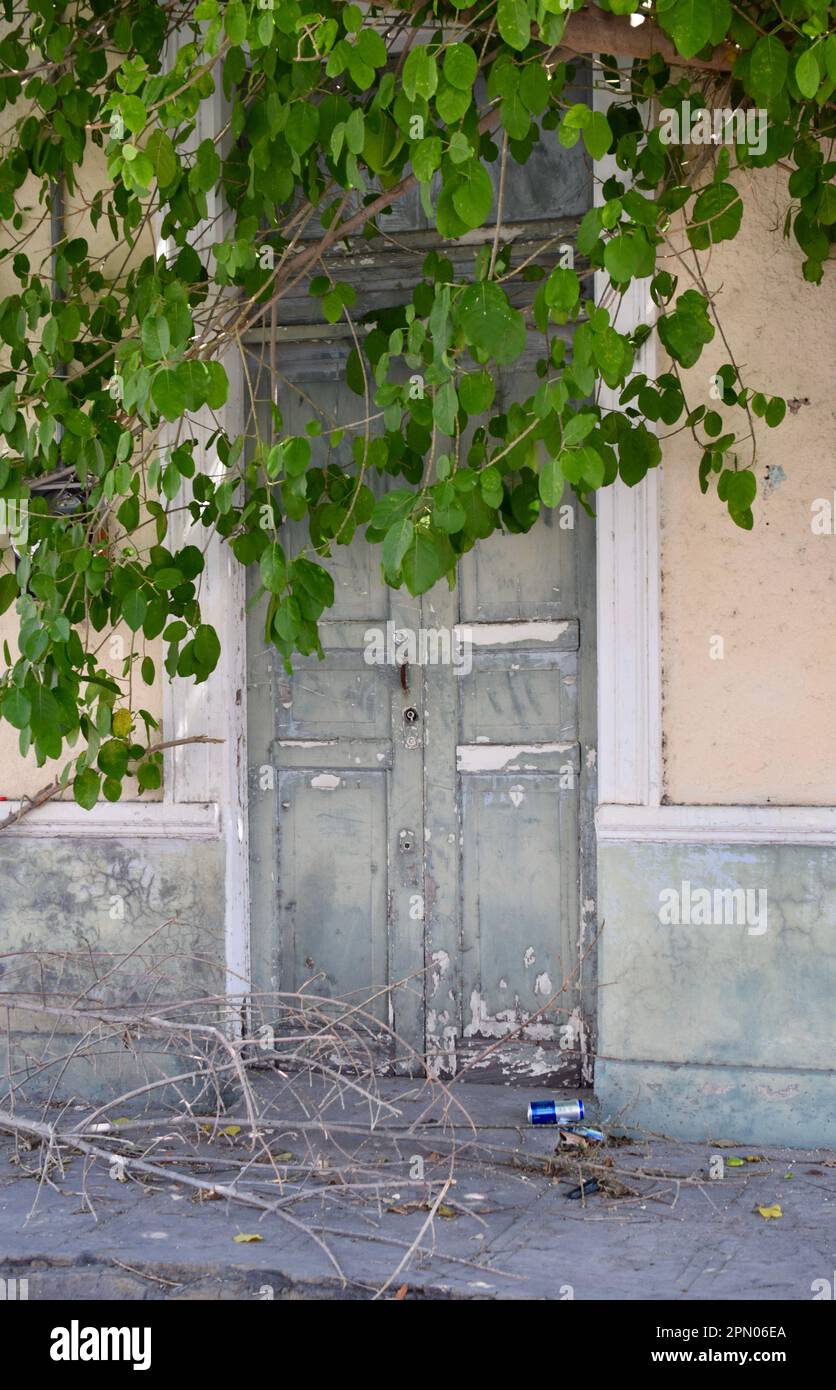 A wooden door under tree branches in a street of Merida, Yucatan ...