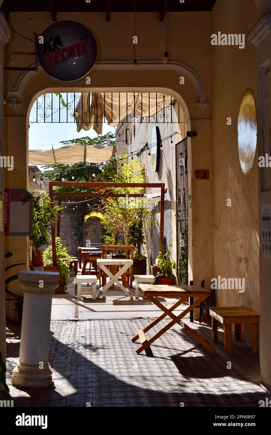 A gorgeous atrium in a colonial building on a street in the historic ...