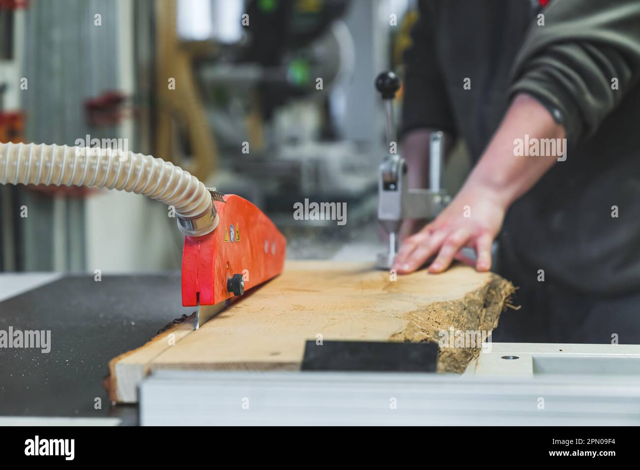 Table saw in use. Unrecognizable Caucasian carpenter holding piece of ...