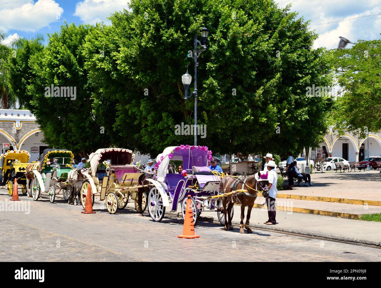 The colorful hose-drawn carriages at town square in the yellow city of ...