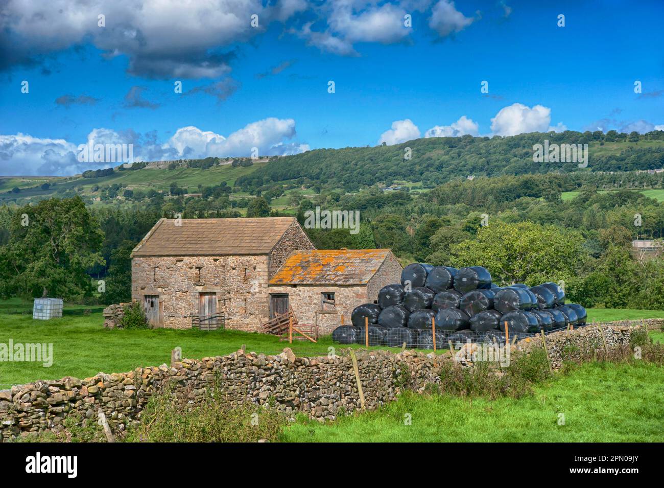 View of pasture, dry stone wall, stone field barn and large black ...