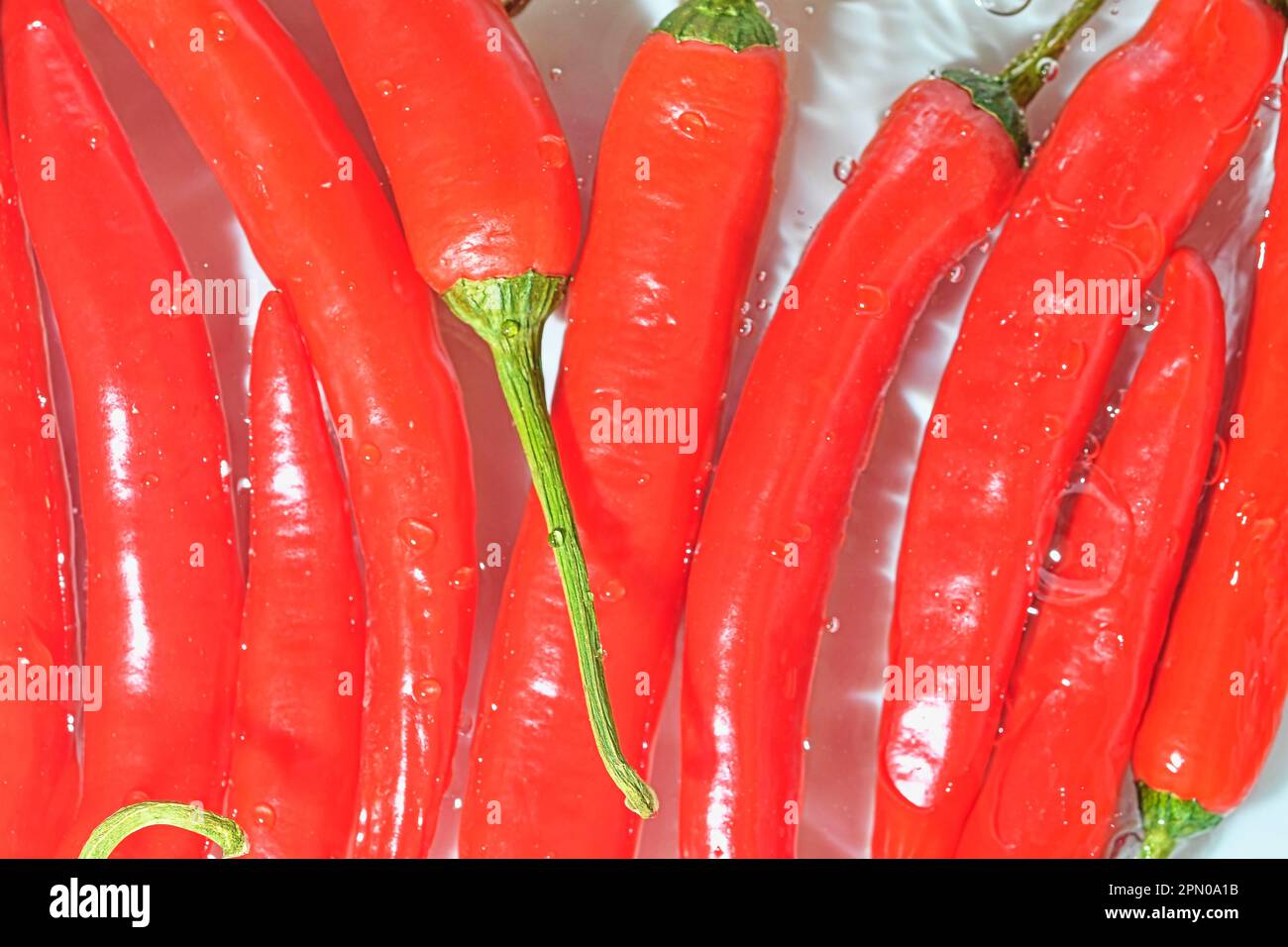 Cilli plant hi-res stock photography and images - Alamy