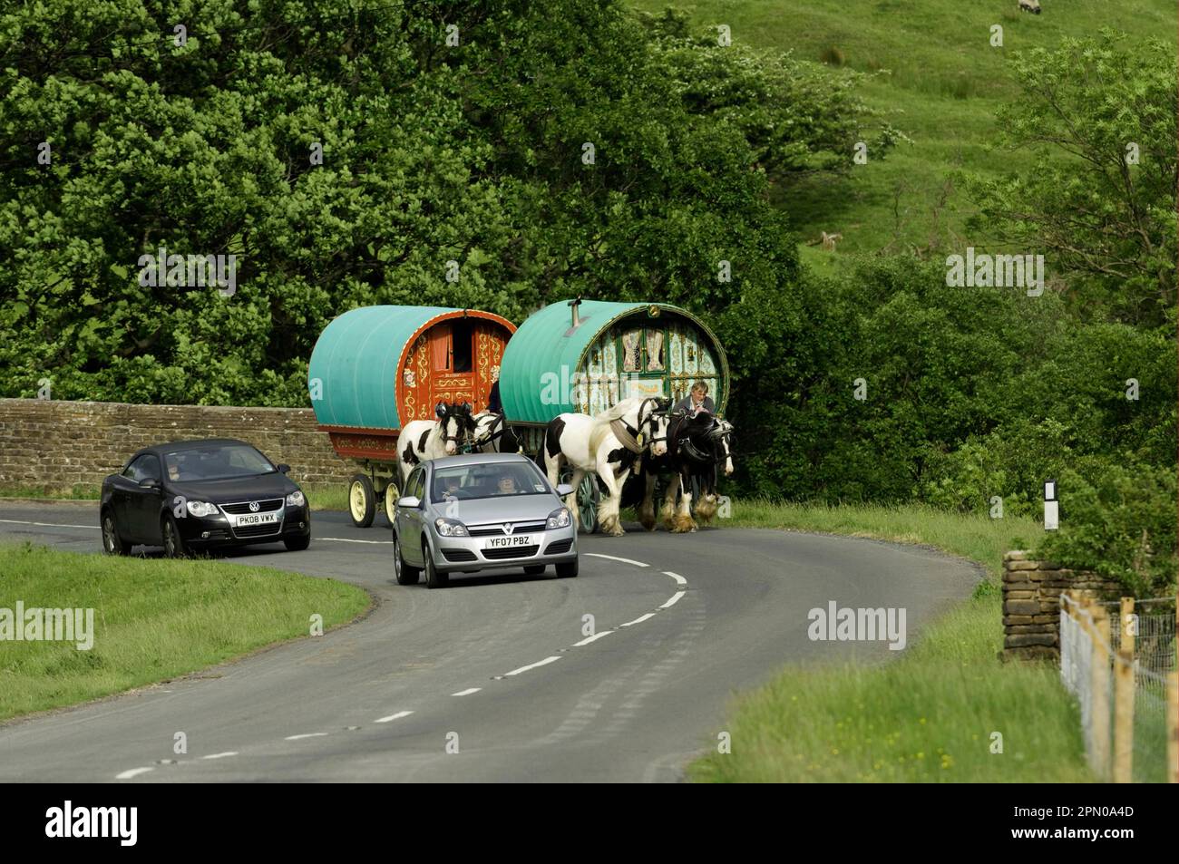 Caravan of horses with cars on the road, on the way to Appleby Horse ...