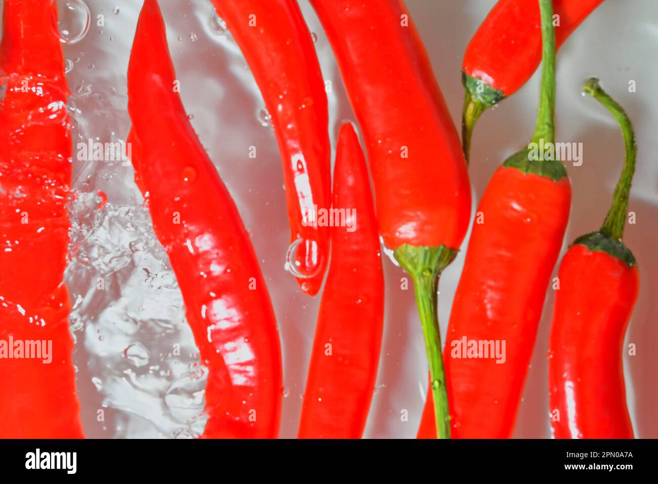 Close-up view of the red chilli peppers in water background. Texture of ...