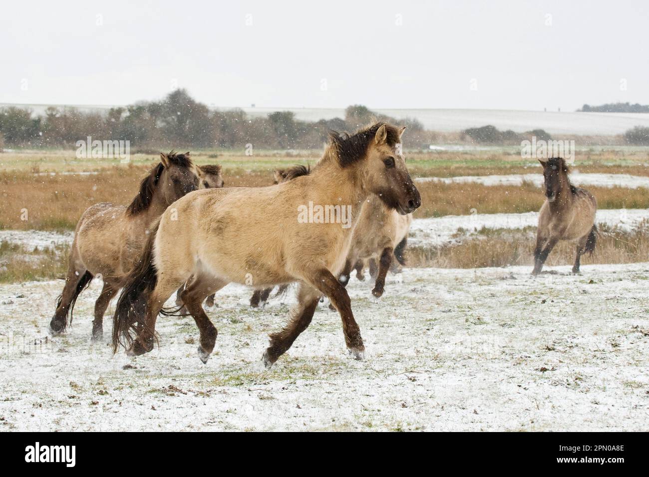 Fen farming hi-res stock photography and images - Alamy