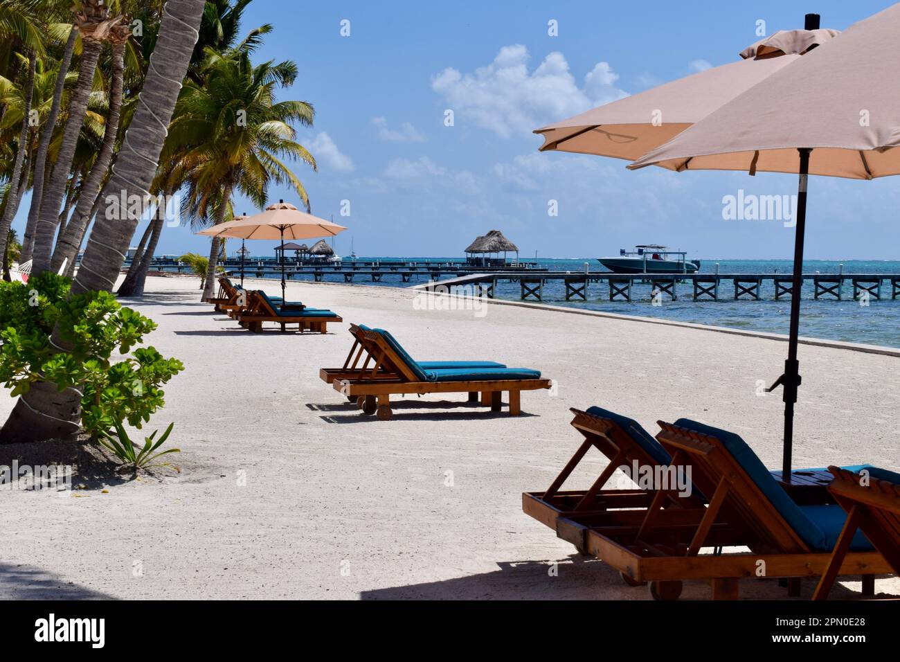 Lounge chairs at the beach under parasols and facing the sea on a sunny ...