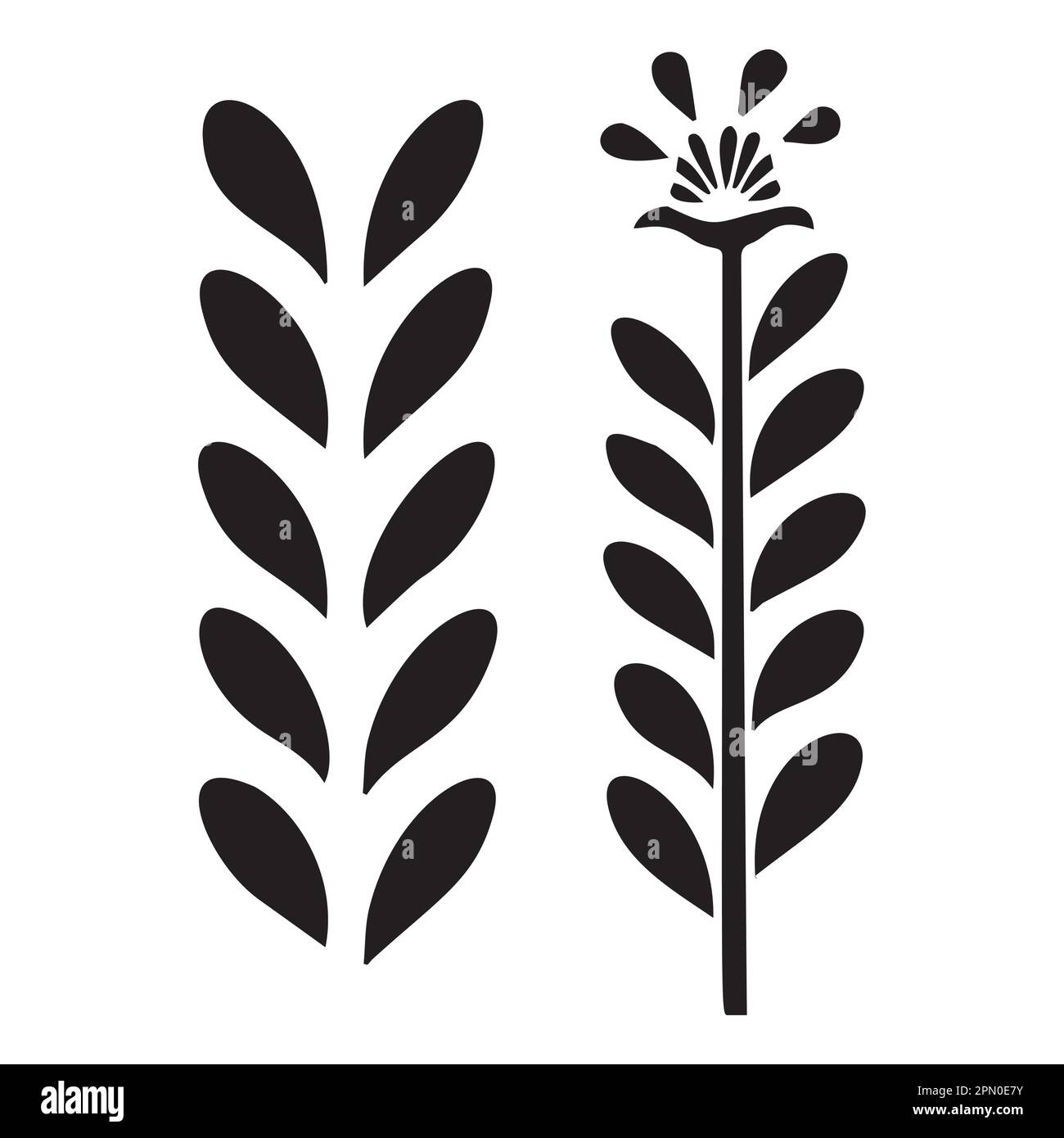 Woodland plant sprig botanical icon set. Collection of garden plants ...