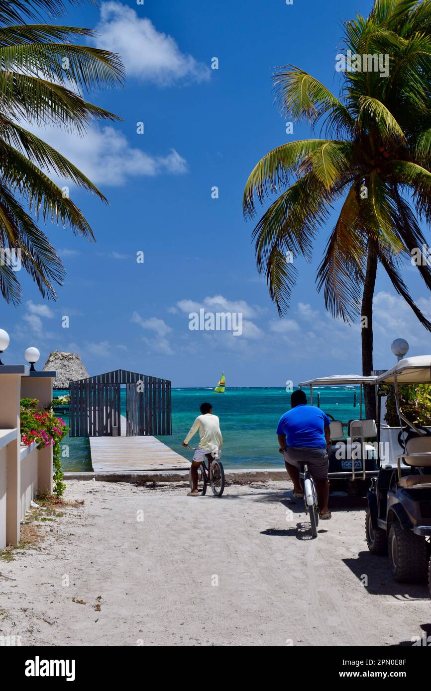 2 Belizean cycling to the beach on a clear, sunny day with turquoise ...