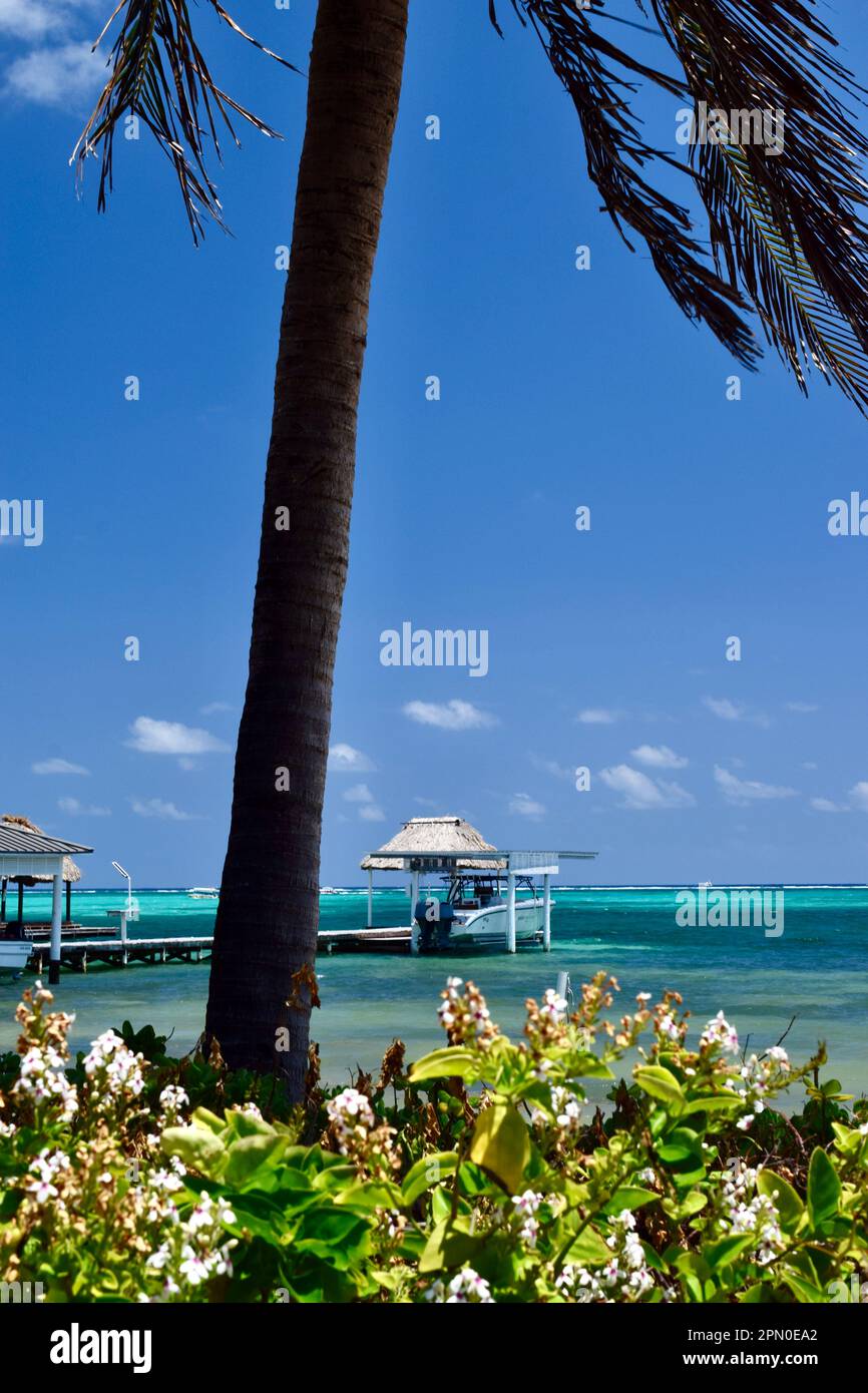 An idyllic view of a palapa, palm tree, and gorgeous blue water in San ...