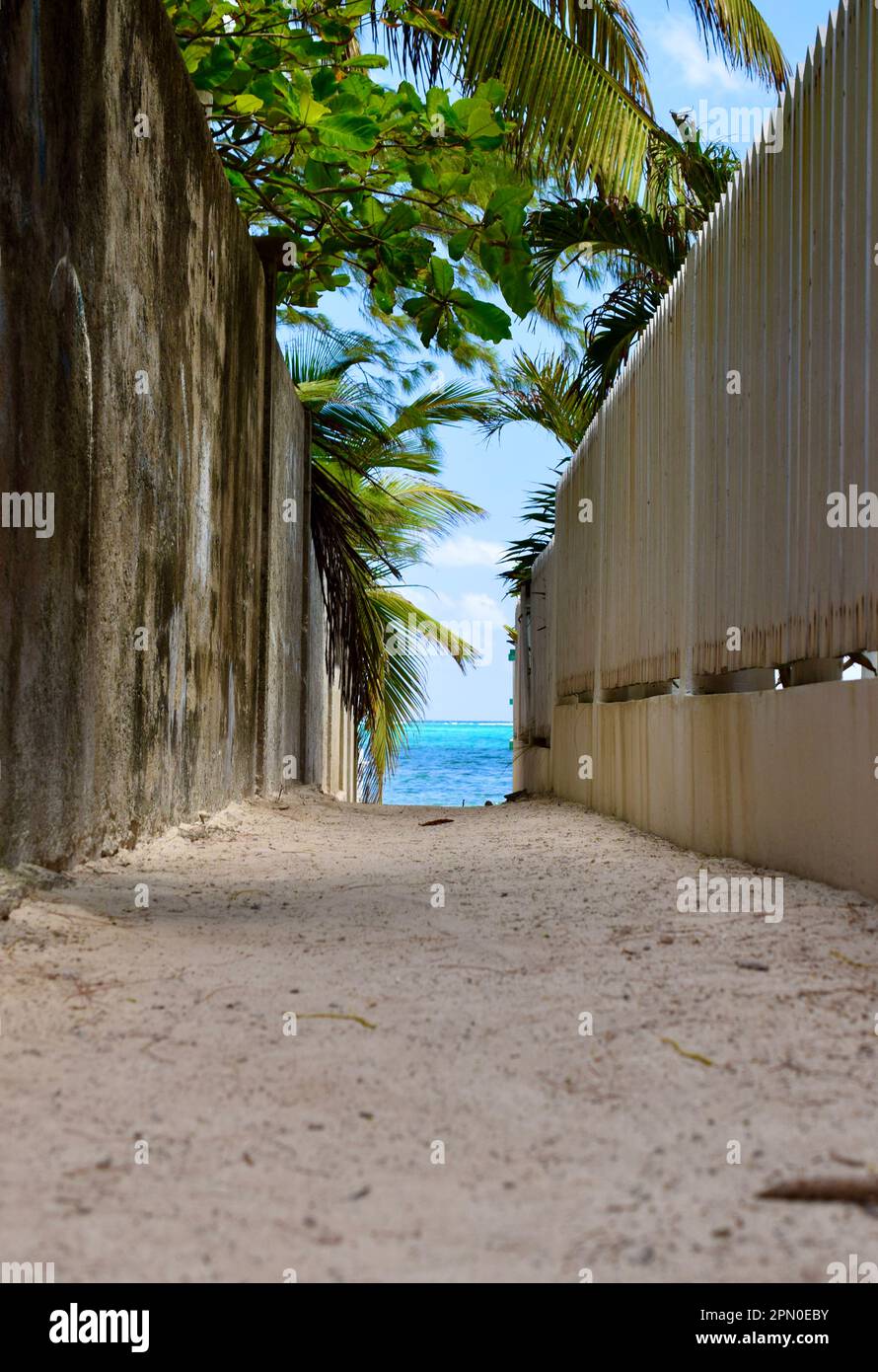 A narrow alley leading to the beach and tropical-blue water, in San ...