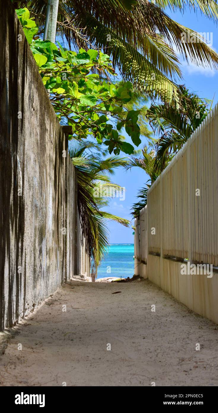 A narrow alley leading to the beach and tropical-blue water, in San ...