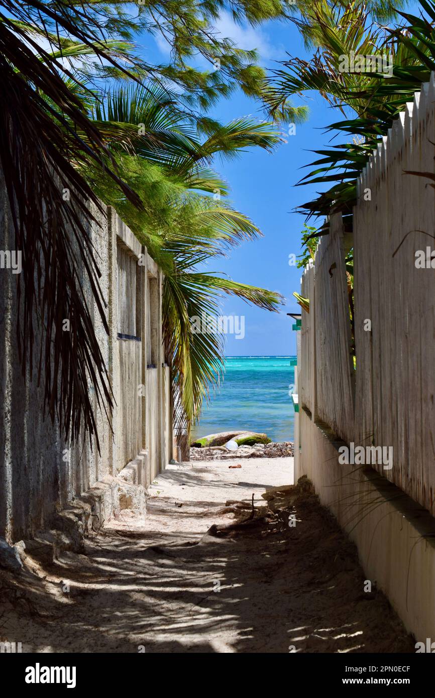 A narrow alley leading to the beach and tropical-blue water, in San ...