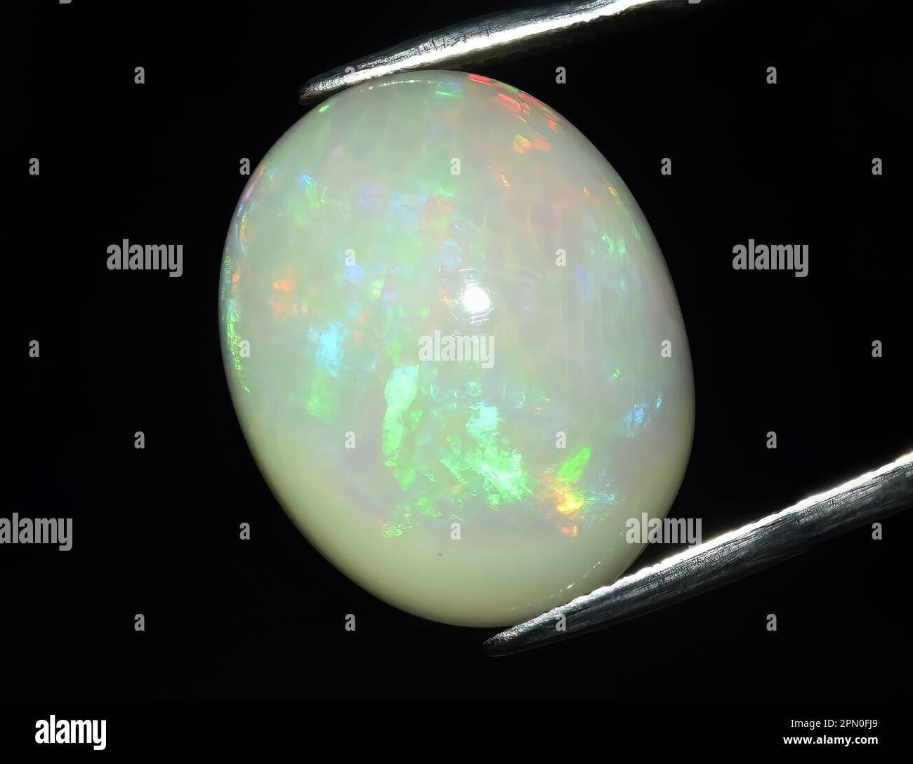 Natural precious stone noble opal on a black background Stock Photo - Alamy