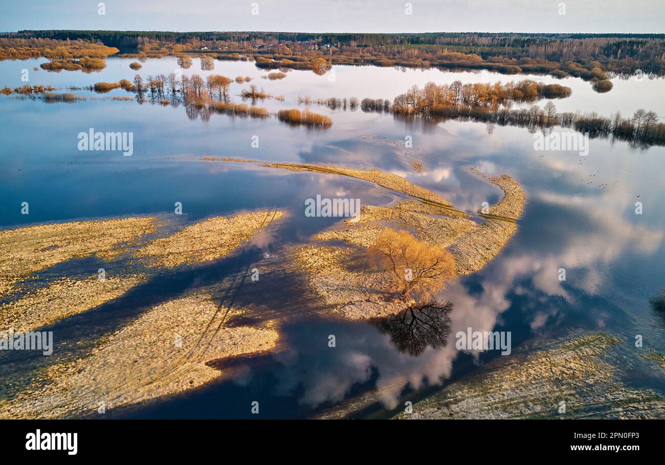 Spring flood rural landscape. Trees, meadow, bushes, fields, country ...