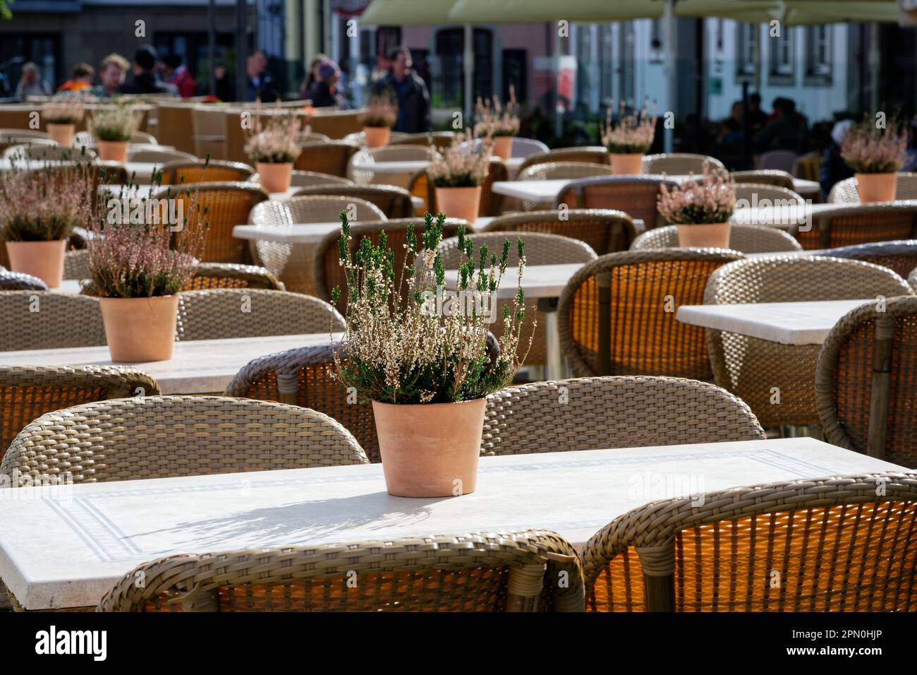 flower pots with plants on tables of an empty excursion restaurant in ...