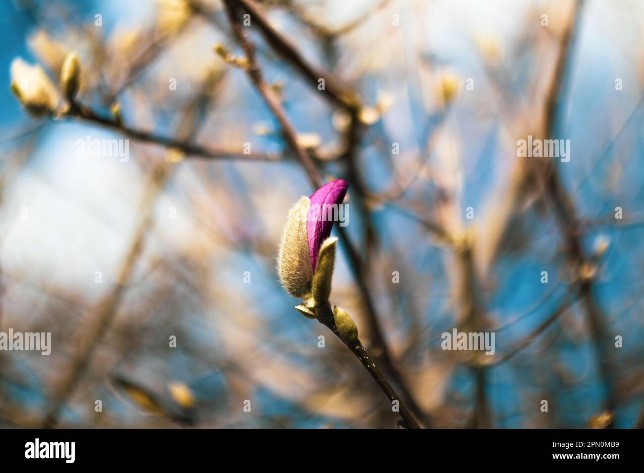 Helios lens hi-res stock photography and images - Alamy