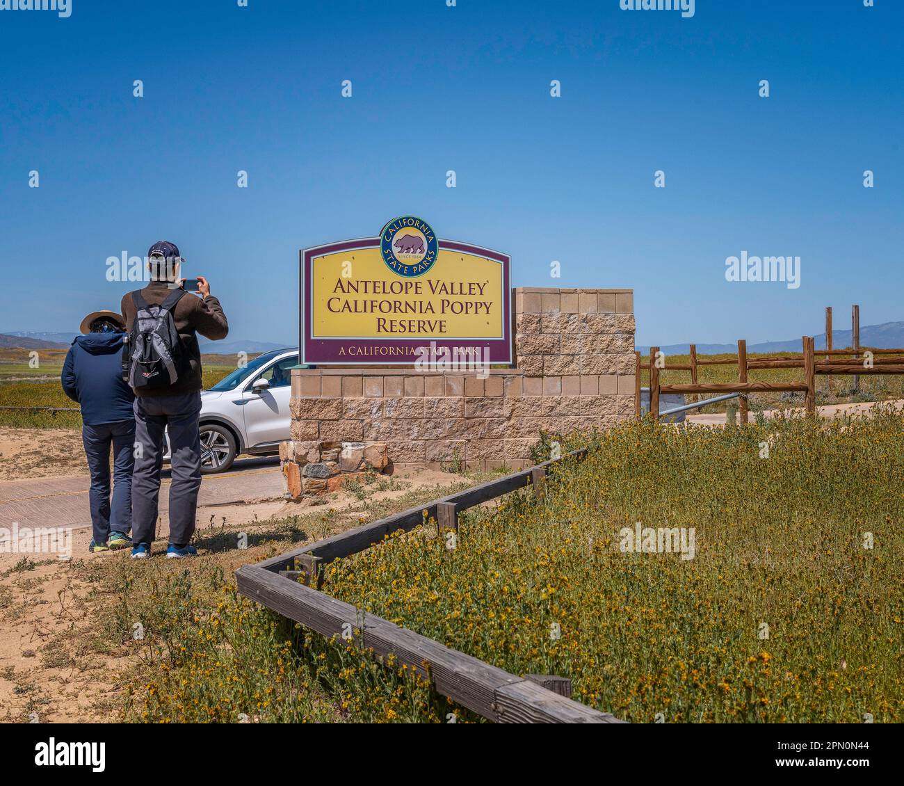 Car poppy hi-res stock photography and images - Alamy