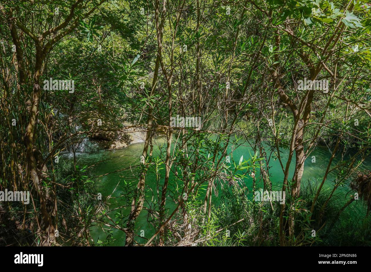 In the community of Haravgi of the Municipality of Messina, lies ...