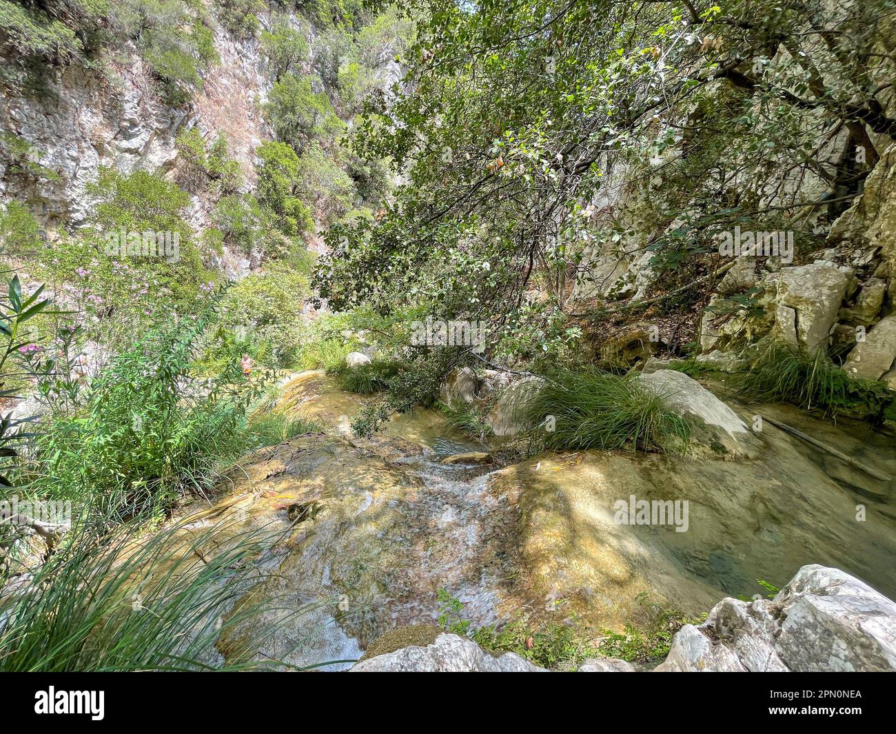 In the community of Haravgi of the Municipality of Messina, lies ...