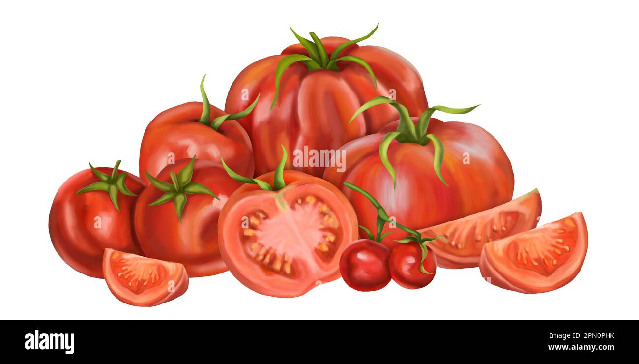 A large composition of red ripe tomatoes of different varieties. Slices ...
