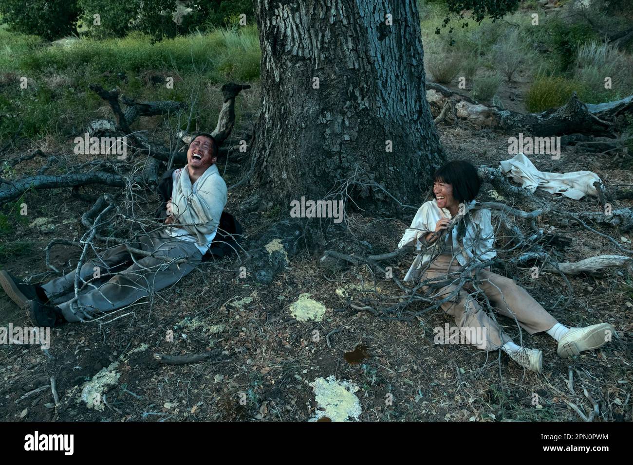 RELEASE DATE: April 6, 2023 TITLE: Beef STUDIO: Netflix CREATOR: Lee ...