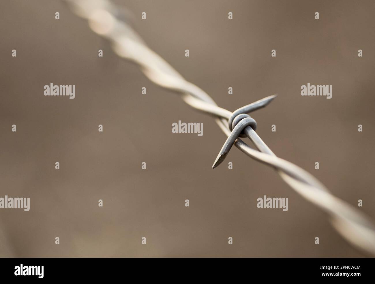 Steel fencing barb wire hi-res stock photography and images - Alamy