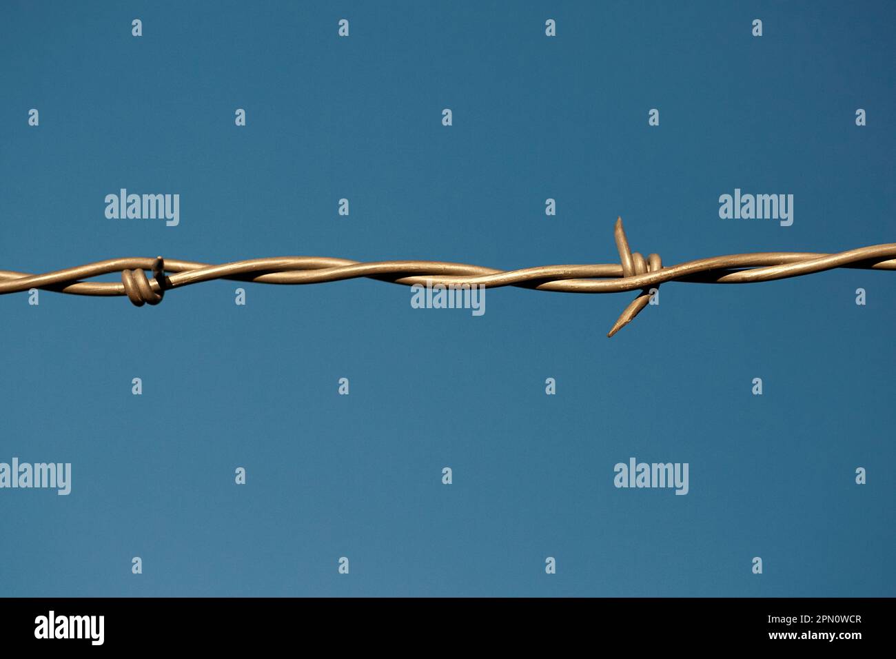 Steel fencing barb wire hi-res stock photography and images - Alamy