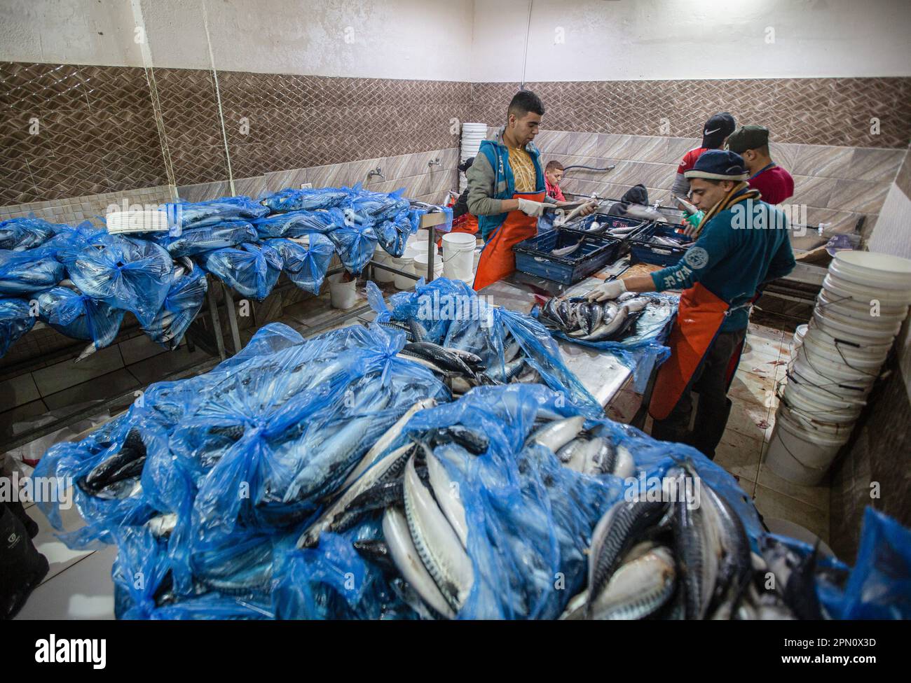 Gaza, Palestine. 15th Apr, 2023. Palestinian workers prepare "smoked ...
