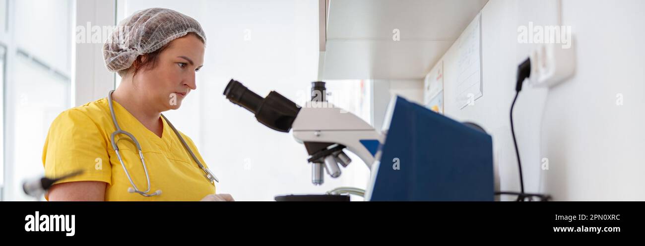 Vet scientist doing chemical test in laboratory Stock Photo - Alamy