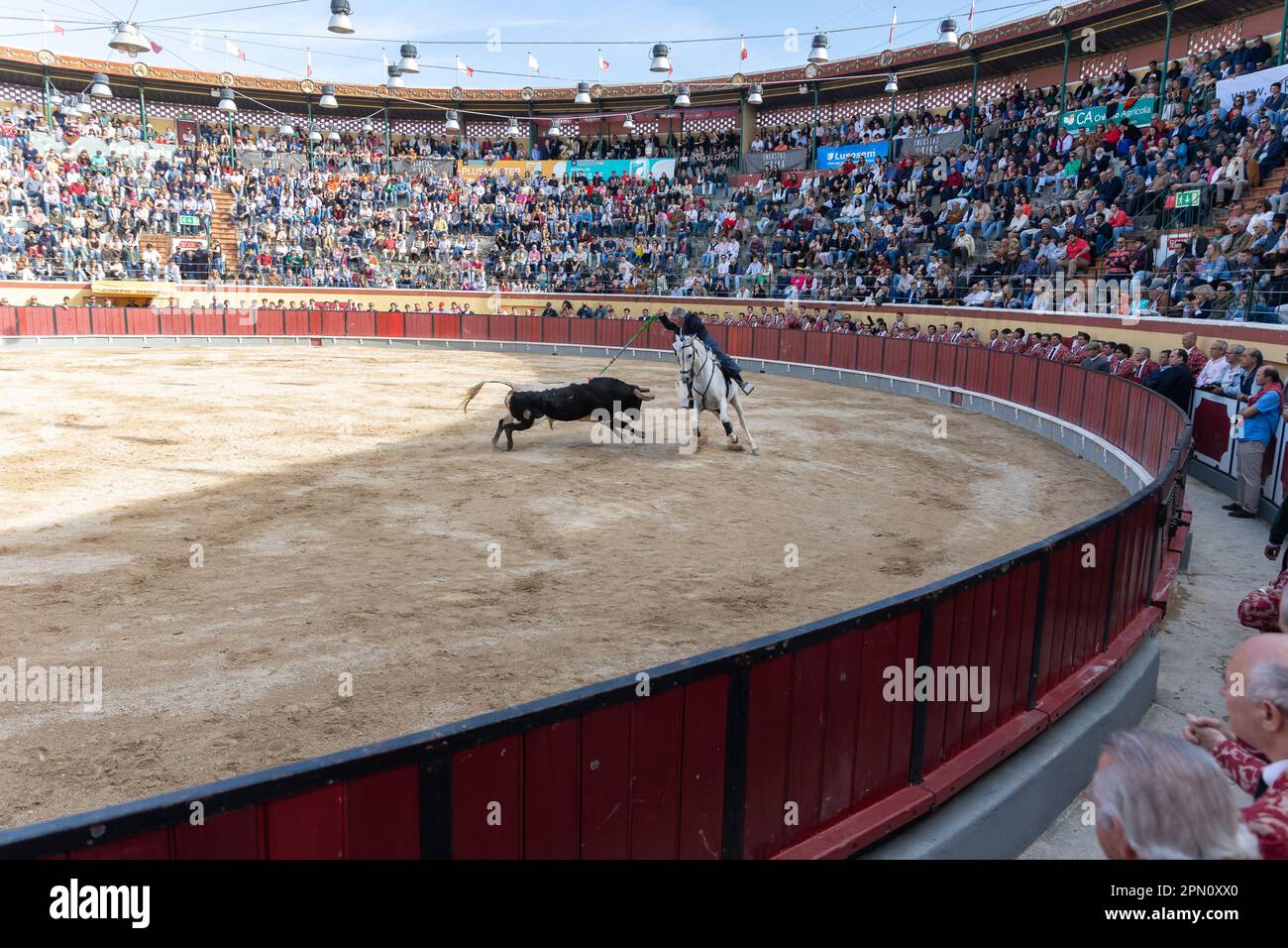 March 26, 2023 Lisbon, Portugal: Tourada - bullfighter on horseback ...