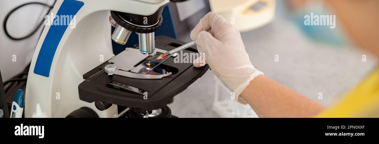 Female vet scientist doing tests in modern laboratory Stock Photo - Alamy