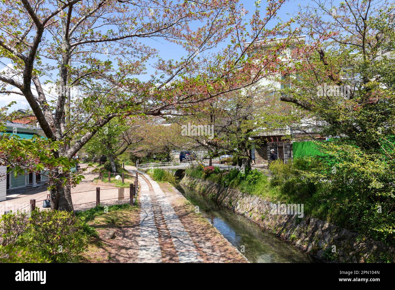 Kyoto Japan April 2023, Philosophers Path walking trail during cherry ...