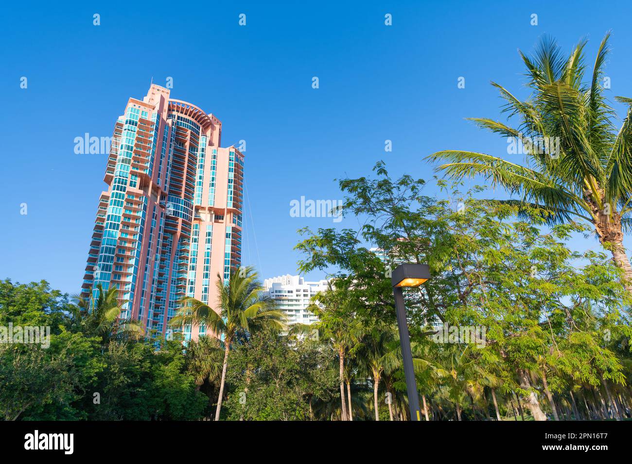 skyscraper architecture outdoor with palms. skyscraper architecture in ...