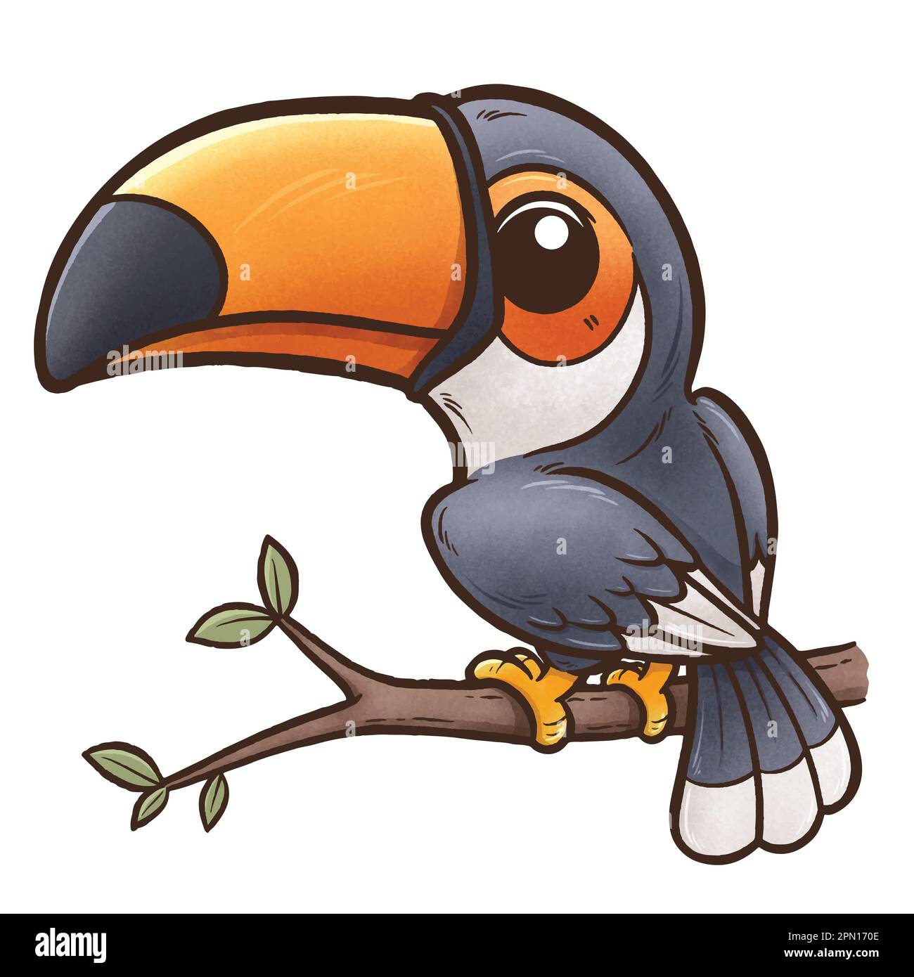 Vector illustration of Cartoon Hornbill Stock Vector Image & Art - Alamy