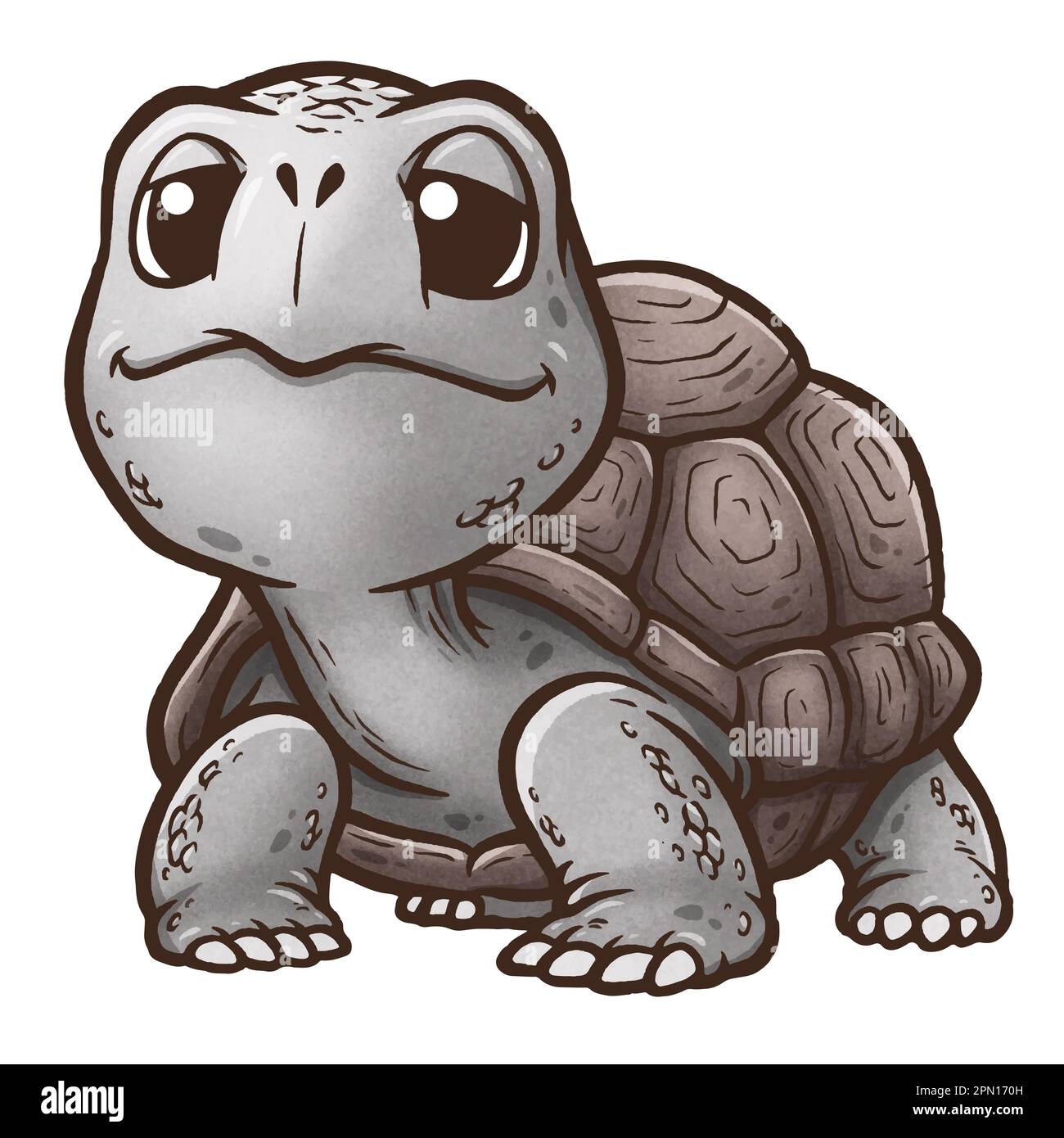 Vector illustration of Cartoon tortoise, Galapagos tortoise Stock ...