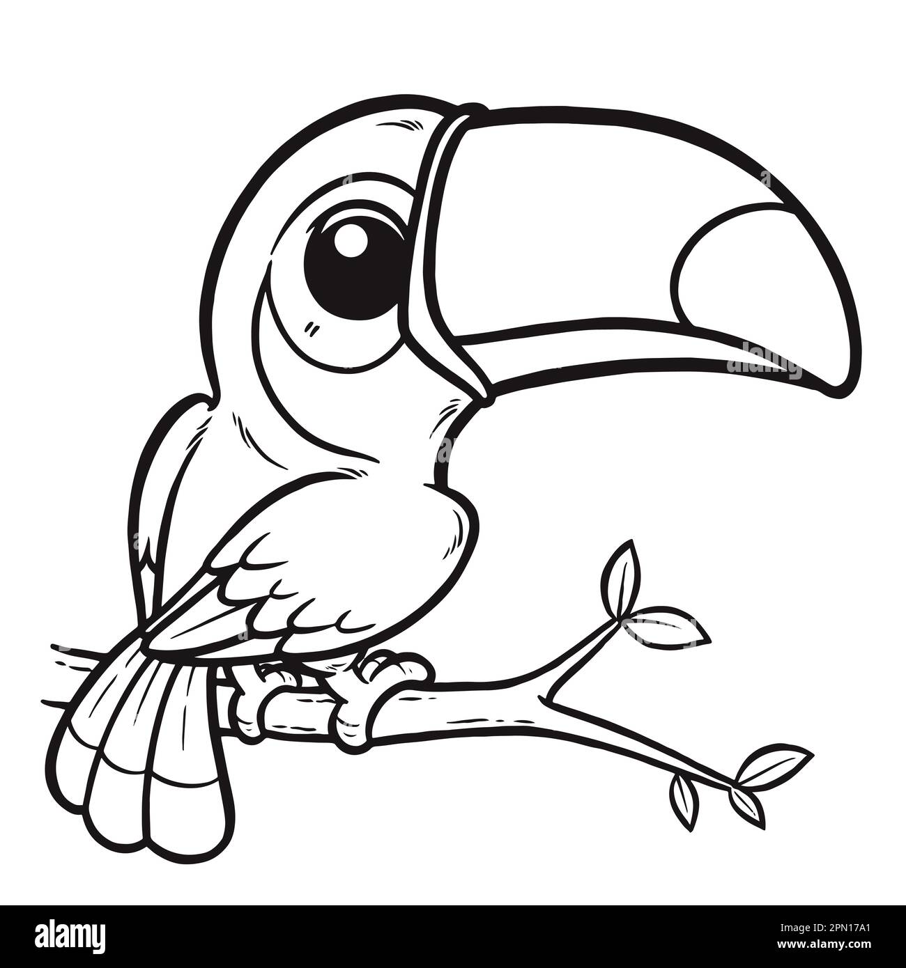 How To Draw A Hornbill Step By Step Drawing For Kids