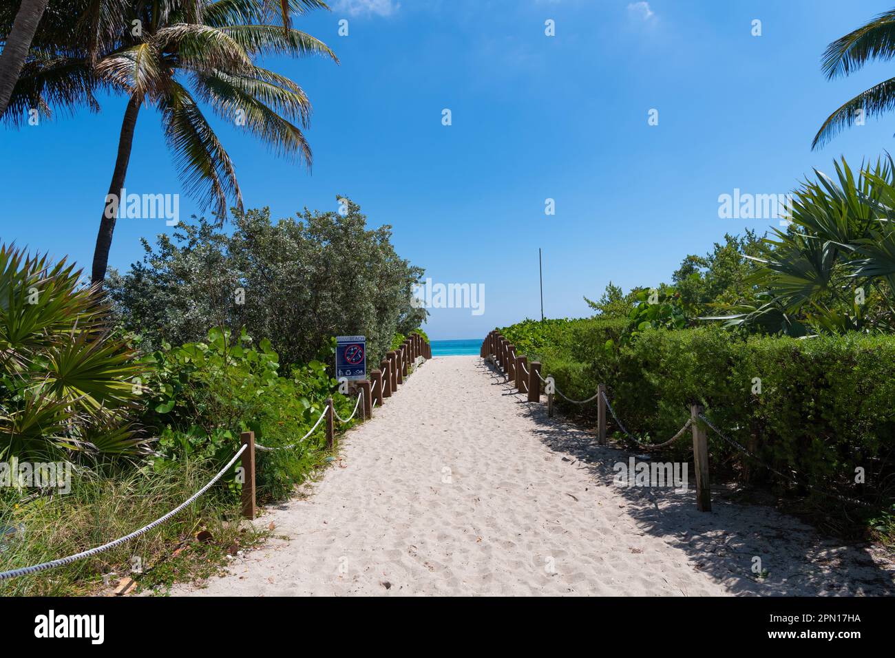 empty road pathway outdoor in summertime. way pathway alley. photo of ...
