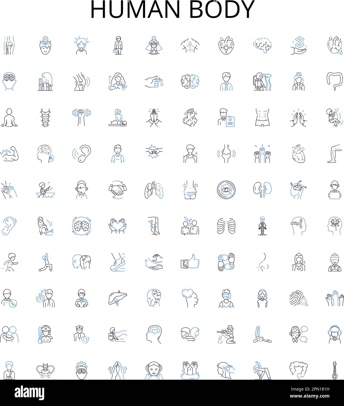 Human body outline icons collection. Anatomy, Organ, Skeleton, Muscle ...