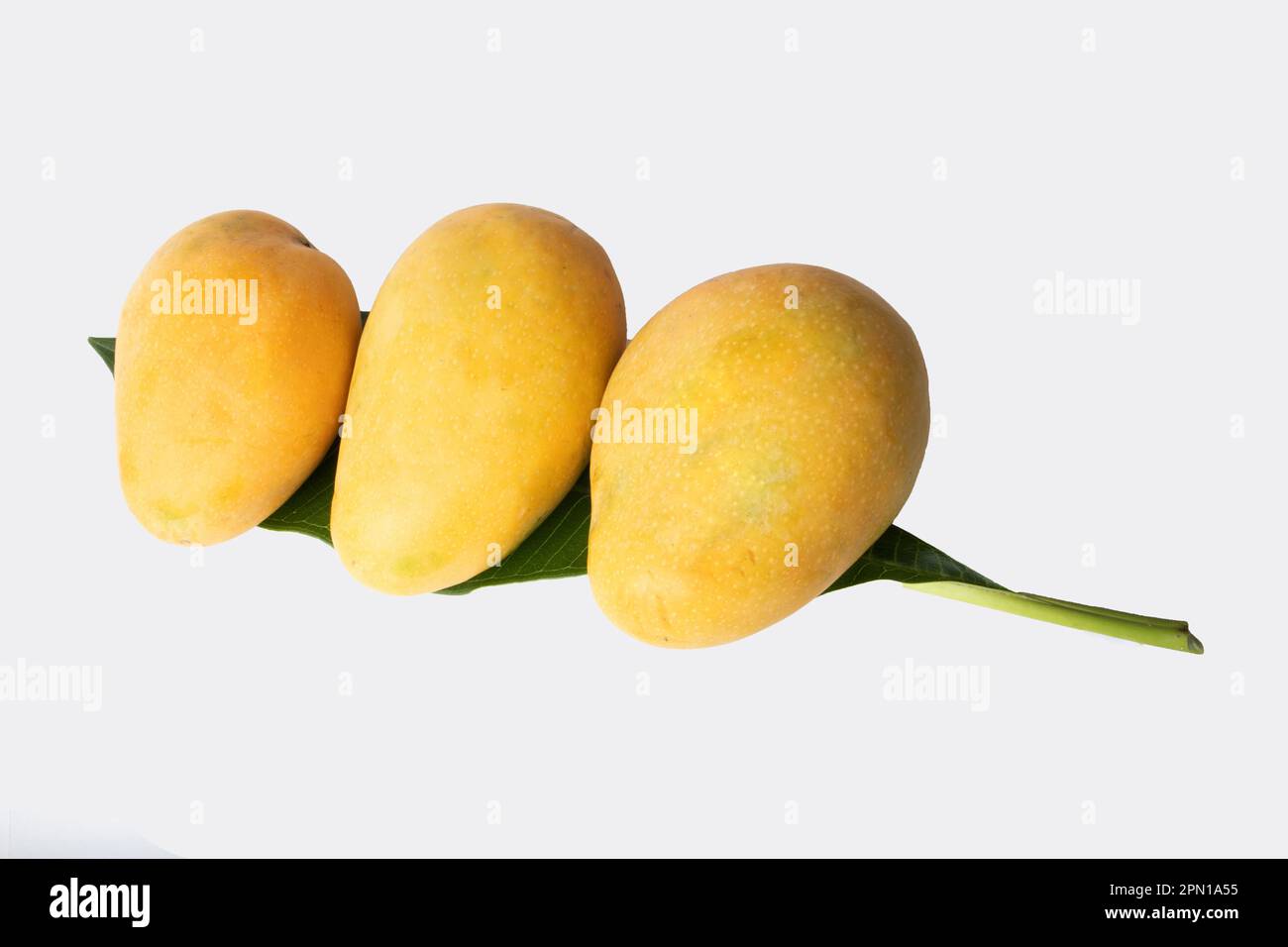 Fresh Yellow ripen Mango with leaf isolated Stock Photo - Alamy